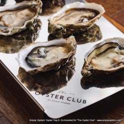 Oyster Recipes | Raw & Cooked Oysters | Simply Oysters