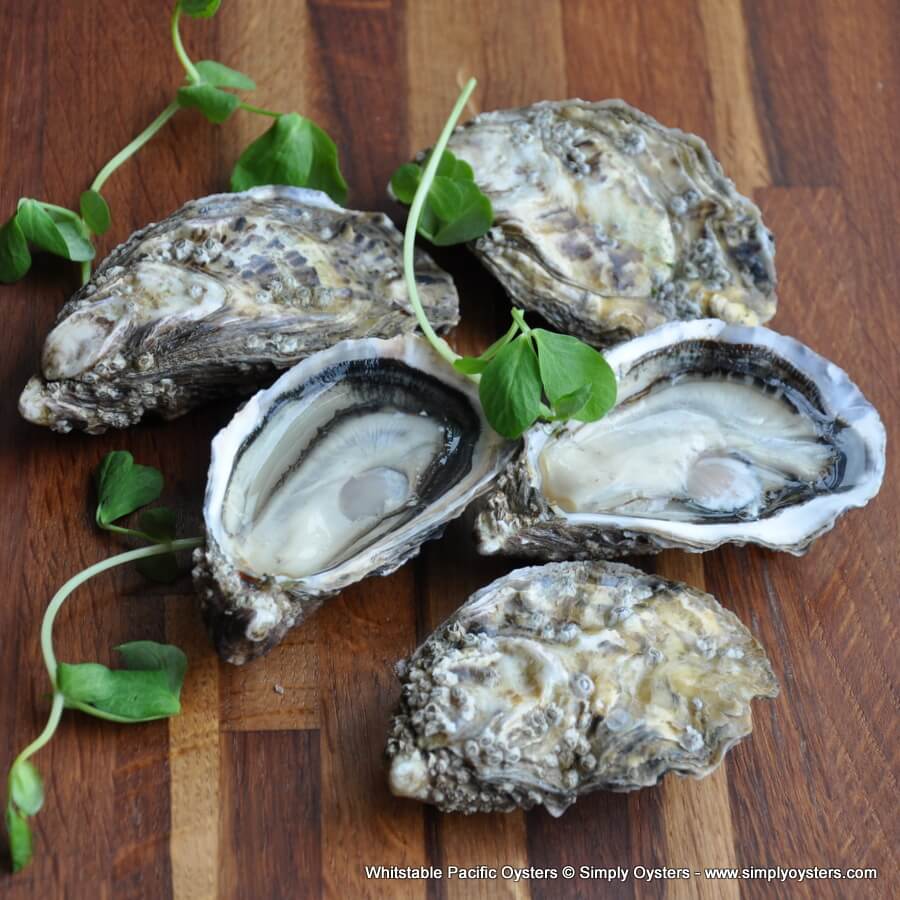 Whitstable Oysters - Buy Online | UK Delivery | Simply Oysters
