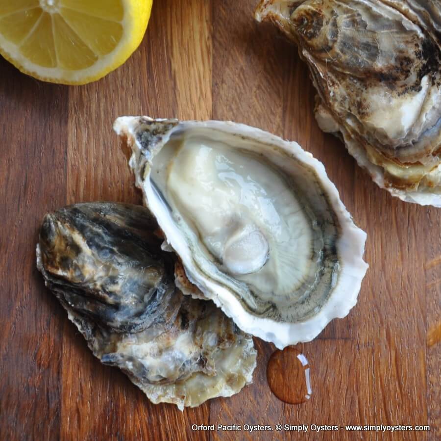 Orford Oysters - Buy Online | UK Delivery | Simply Oysters