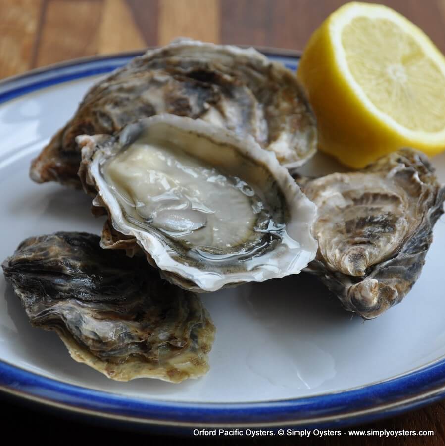 Orford Oysters - Buy Online | UK Delivery | Simply Oysters