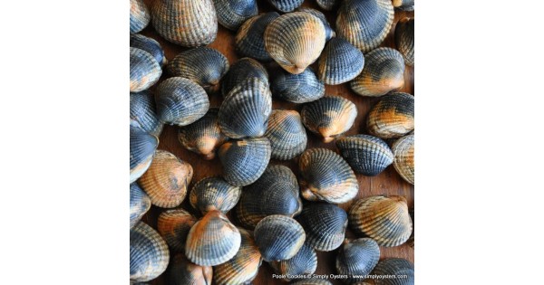 Live Cockles 1kg - Buy Online | UK Delivery | Simply Oysters