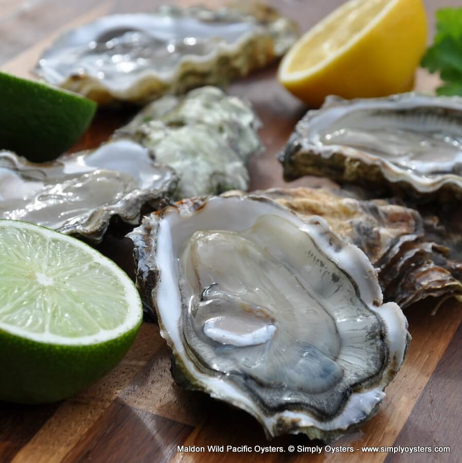 Oyster Selection Box - 4 Types of Oyster | UK Delivery | Simply Oysters