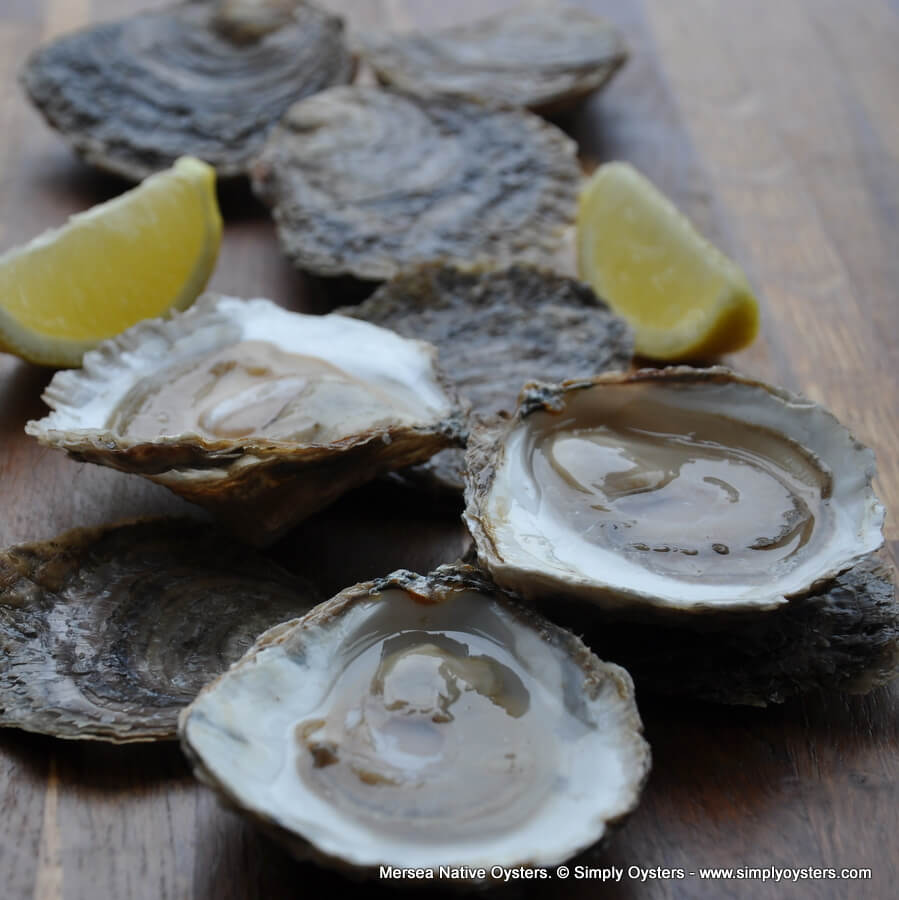 Mersea Native Oysters - Buy Online | UK Delivery | Simply Oysters