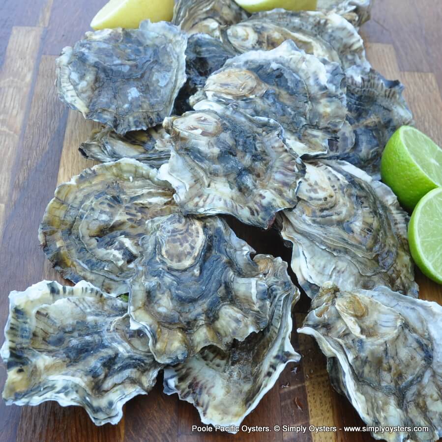 Poole Oysters - Buy Online | UK Delivery | Simply Oysters