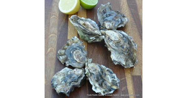 Poole Oysters & Shellfish Box | UK Delivery | Simply Oysters