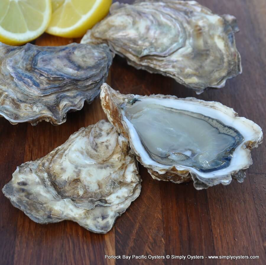 Porlock Oysters | UK Delivery | Simply Oysters